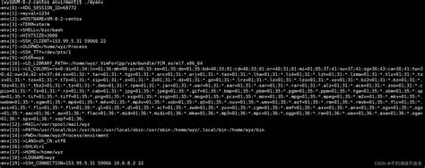 Linux环境变量linux 父子进程 环境变量继承 Csdn博客