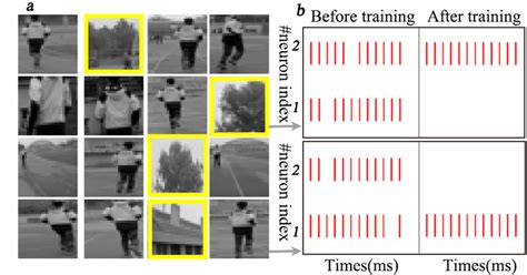 Object Detection Dataset A A Custom Dataset For Object Detection