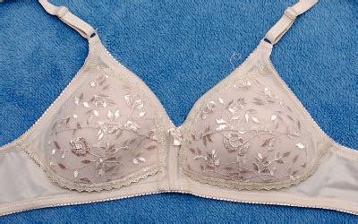 ブラと一緒に カップの構造