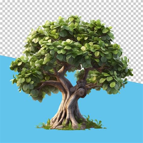 Premium Psd Fig Tree