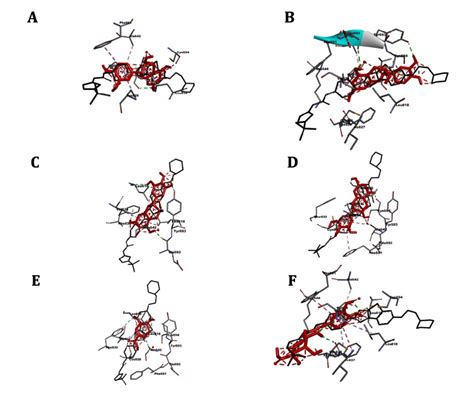 3d Scheme Of The Ligand Flt3 Receptor Interactions In Red Tested Download Scientific Diagram