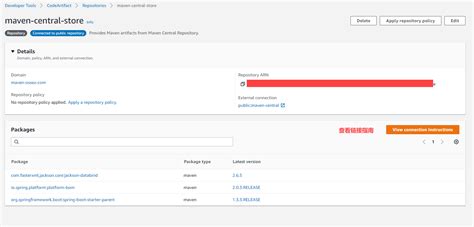 Aws Codeartifact 如何设置用户的 Token Csdn博客