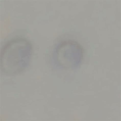 Yolov7 Instance Segmentation Dataset By Ntust