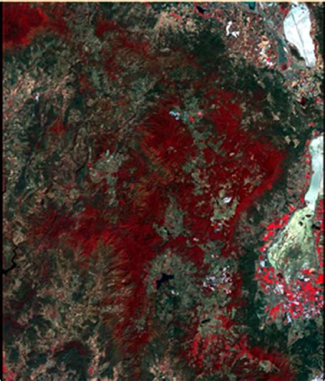 Image With Topographic And Atmospheric Correction Download Scientific Diagram
