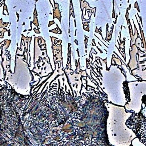 Microstructure Of The Lower Part Of The Boride Layer And The Transition Download Scientific