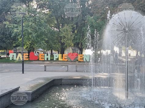 Какво е разпределението на мандатите в общинските съвети в област Плевен Утро