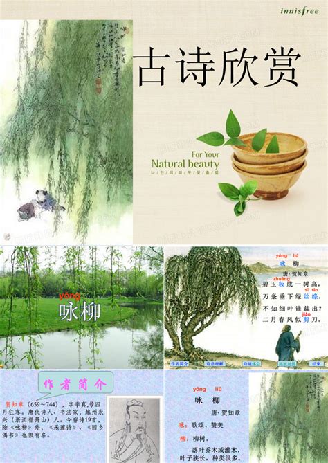 古诗咏柳PPT模板下载 编号lmwrzddl 熊猫办公