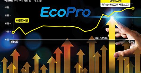 ‘기이한 열풍 에코프로 극성개미 지지에 ‘황제주 등극
