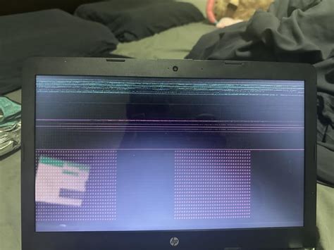 Cannot Install Linux Mint Rlinuxmint