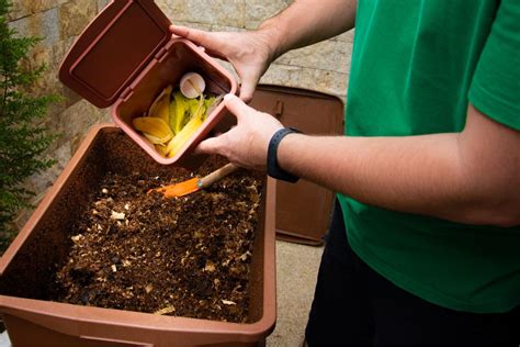 Recycling Vs Composting A Comprehensive Comparison Guide