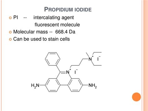 Propidium Iodide Exclusion Assay