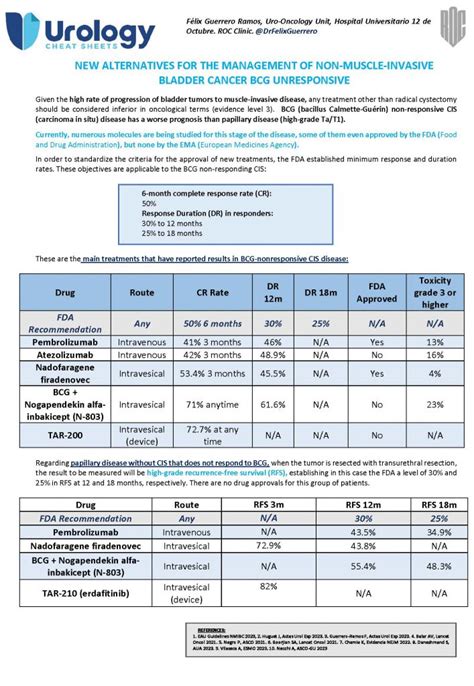 New Alternatives For The Management Of Non Muscle Invasive Bladder Cancer Bcg Unresponsive