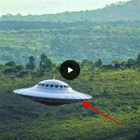 Video Goes Viral Unidentified Flying Object Spotted In Barcelona Forest