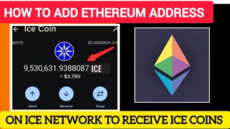 How To Add Ethereum Wallet Address To Ice Network App Ice Tokens To Metamask And Trustwallet