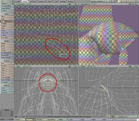 Making Uv Maps In Lw 5 2 © Copyright Robin Wood