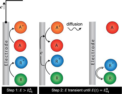 Schematic Showing Processes Near The Electrode During Implementation Of Download Scientific