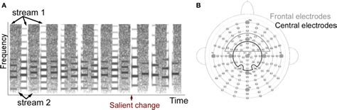 A Example Stimulus Spectrogram Used In The Two Stream Experiments