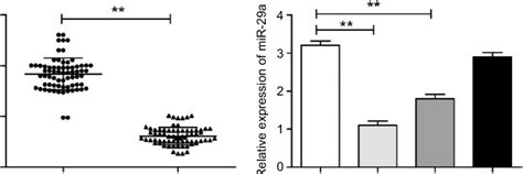 mir 29a relative expression in ptc tumor tissues adjacent nontumor