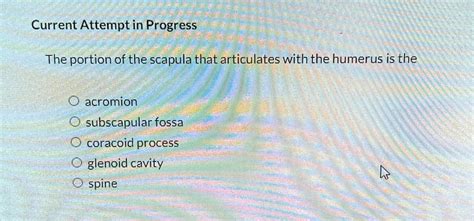 Current Attempt In Progress The Portion Of The Scapula That Articulates With The Humerus Is The