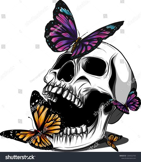 Hand Drawing Bone Skeleton Anatomical Drawing Stock Illustration 1204552750 Shutterstock