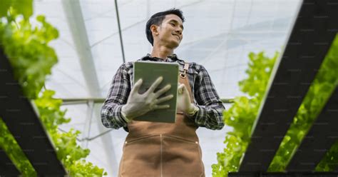 아시아 중소 기업 소유자 온실 수경 농장 아시아 사업주 손 잡고 정제 물 시스템 검사 성장하는 개념 유기 수경 야채 재배 농장 녹색 음식 개념 사진 Unsplash의