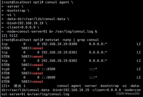 docker consul的容器服务更新与发现 csdn博客