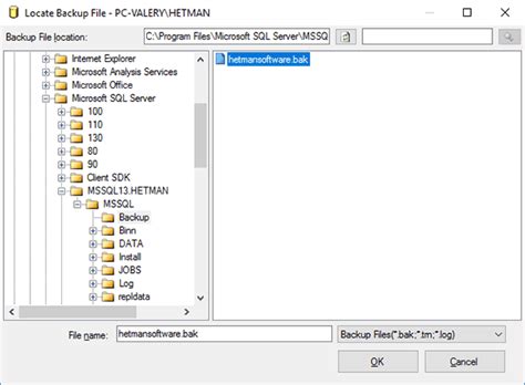 Mssql Data Recovery Guide Dbms Files