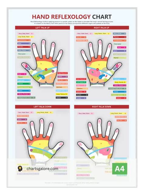 Hand Reflexology Chart Complete Reflex Zone Mapping For Both Hands