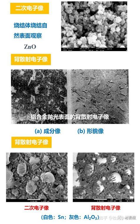 一组图看懂扫描电子显微镜 sem 知乎
