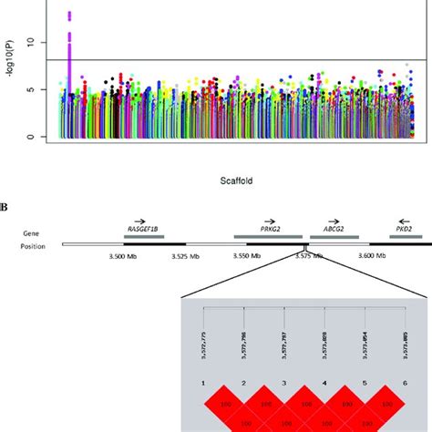 Identification Of Positional Candidate Genes For The Blue Eggshell Download Scientific Diagram