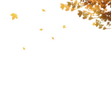 Autumn Leaves Falling Leaves Autumn Leaves Fallen Leaves Png