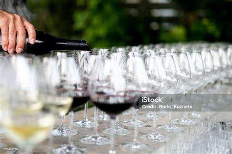 바 레스토랑 과 결혼식에서 와인을 붓는 또한 다른 사교 행사 0명에 대한 스톡 사진 및 기타 이미지 0명 고급 요리 따르기 Istock