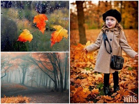 ЕСЕНТА Е ТУК Хладно и ветровито време сутринта е едва 4 градуса ще превали и дъжд ето къде