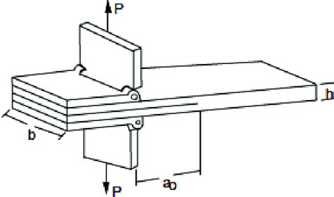Fracture Test Specimen Configuration Download Scientific Diagram