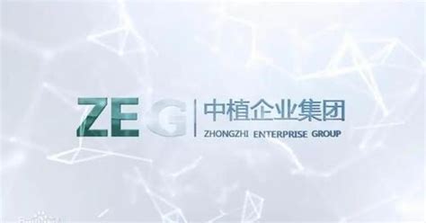 中 그림자금융 중즈그룹 신속 파산 처리 나선 까닭은