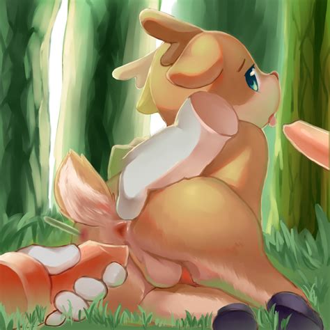 Rule 34 Animal Genitalia Anus Ass Backsack Balls Blue Eyes Canine