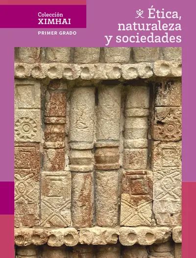 Primer Grado Ciclo Escolar Mx