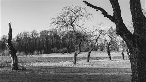 სხეულის სხვადასხვა ჩივილები რა იმალება მათ უკან Youtube