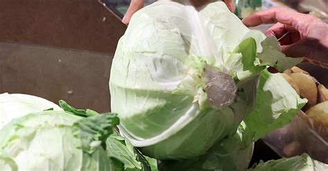 배춧값 고공행진에 양배추·양상추 대체 채소 인기