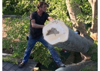 3 Best Tree Services In Montgomery AL Expert Recommendations