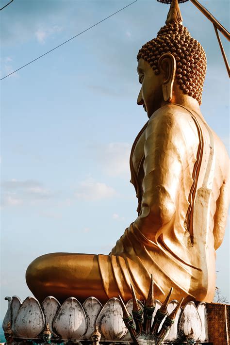 სოსო ნებიერიძე • Travel Blog Home Facebook