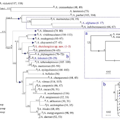 majority rule consensus of bayesian inference tree derived from 1013 bp