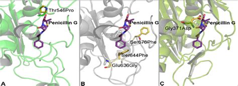 Computational Modeling Of The Novel Mutations That Arose In The