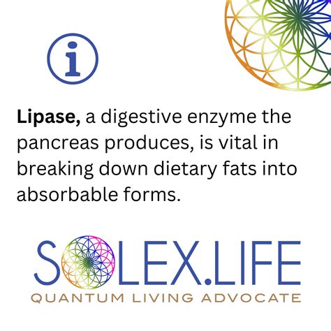 Lipase Do You See It On Your Ao Scan Ao Scan Global