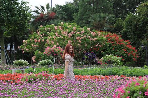 อุทยานหลวงราชพฤกษ์จัดกิจกรรมพิเศษ The Night Light Of Flora Fest