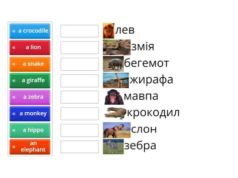 Тварини 2 клас Англійська мова за О Карпюк Match Up