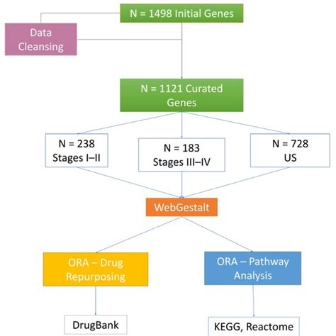 Webgestalt Over Representation Analysis Ora Workflow From Original