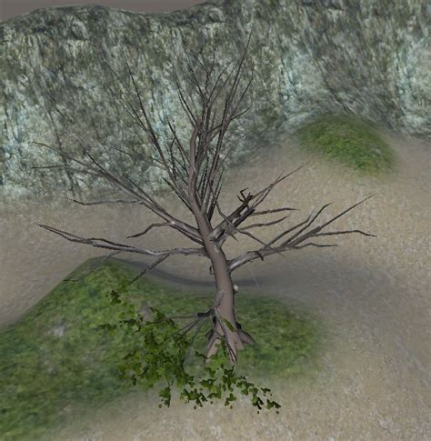 Speedtree Leaves Not Drawing Correctly Unity Engine Unity Discussions