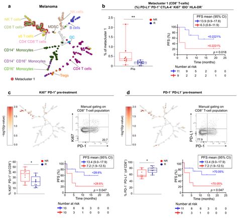 pre treatment expression of pd 1 and pd l1 in non proliferating cd8