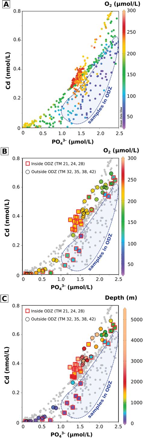 Cadmium‐phosphate Relationship In The Atlantic Ocean A Compilation Download Scientific
